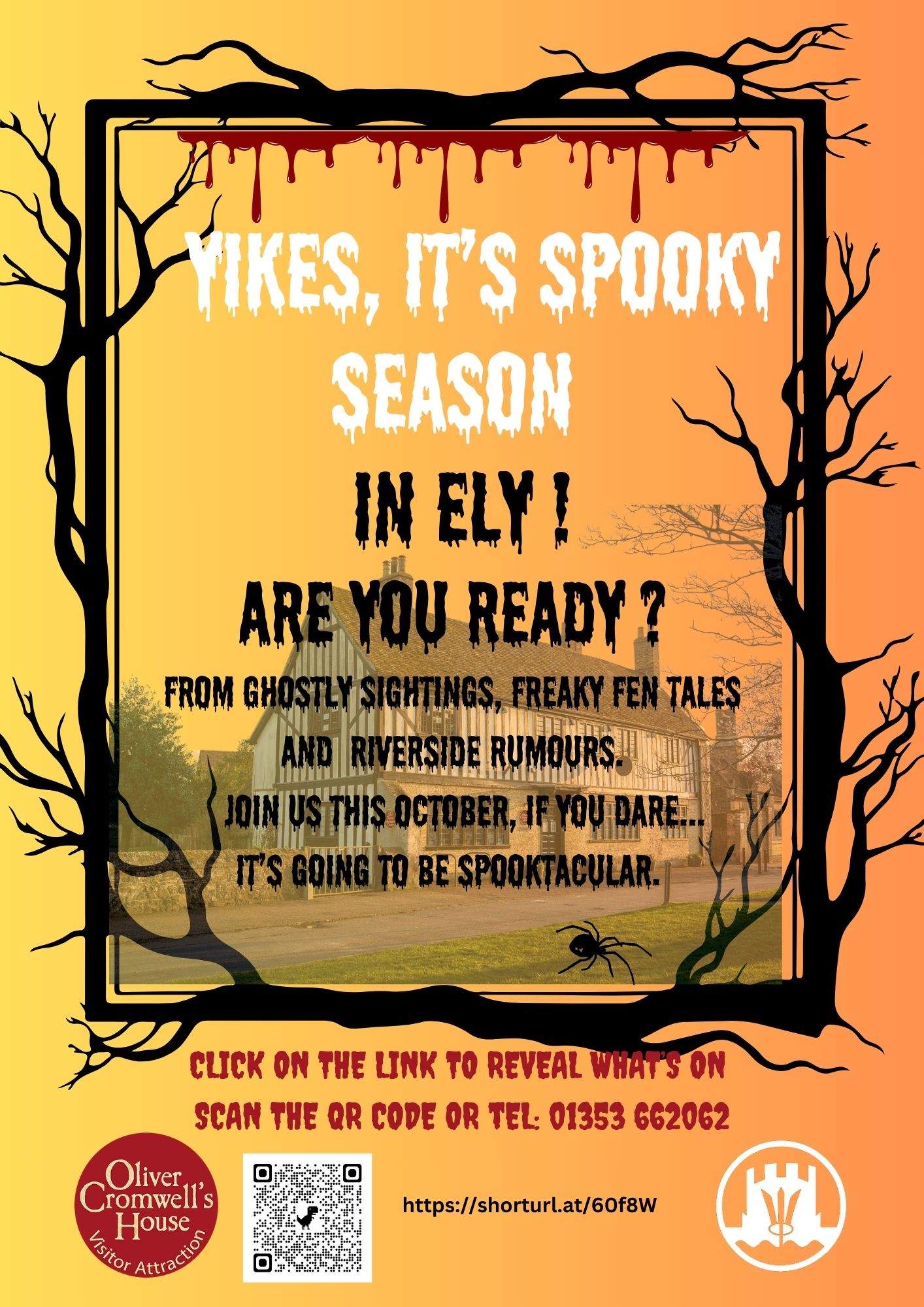 Guided Tours - Visit Ely